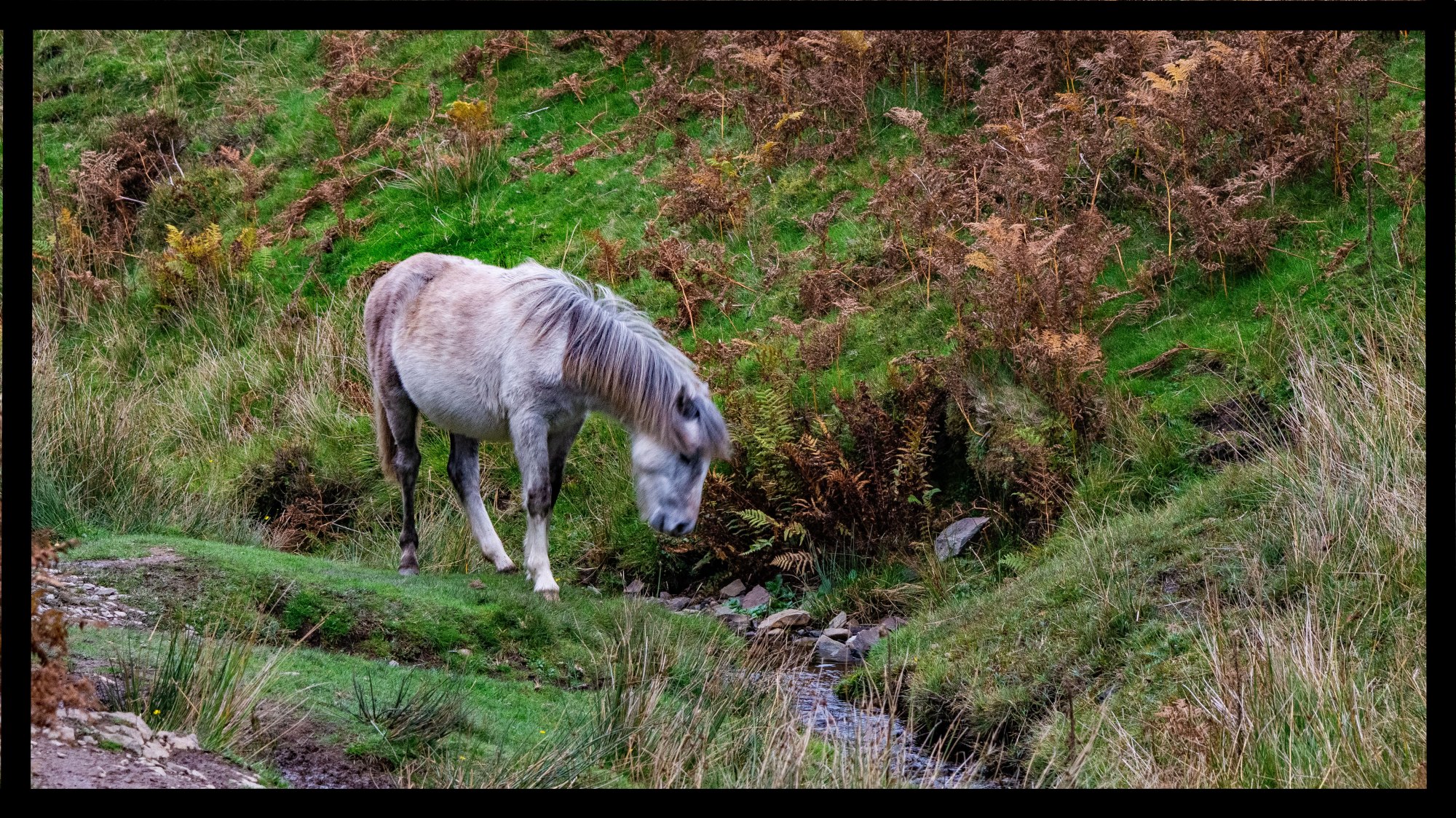 Midlands Marilyn Challenge – Carding Mill Valley, the Long Mynd and ...
